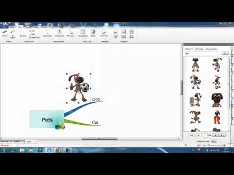 iMindMap 6 - Inserting Images