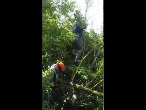 I hate tree huggers