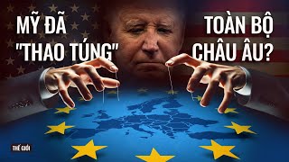 Spiderum - Mạng Xã Hội Chia sẻ Quan Điểm - Kiến Thức Hàng Đầu Việt Nam