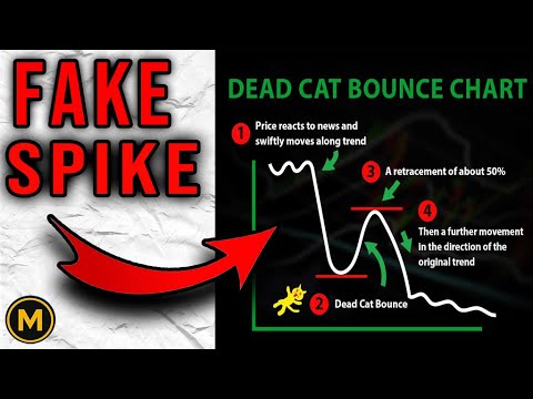 How to Spot a Dead Cat Bounce While Trading (Fast Guide)