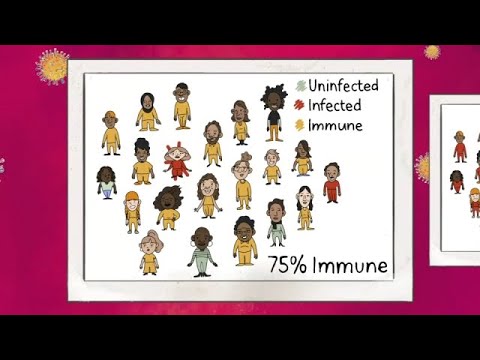 How herd immunity may protect us from COVID-19 | ABC7
