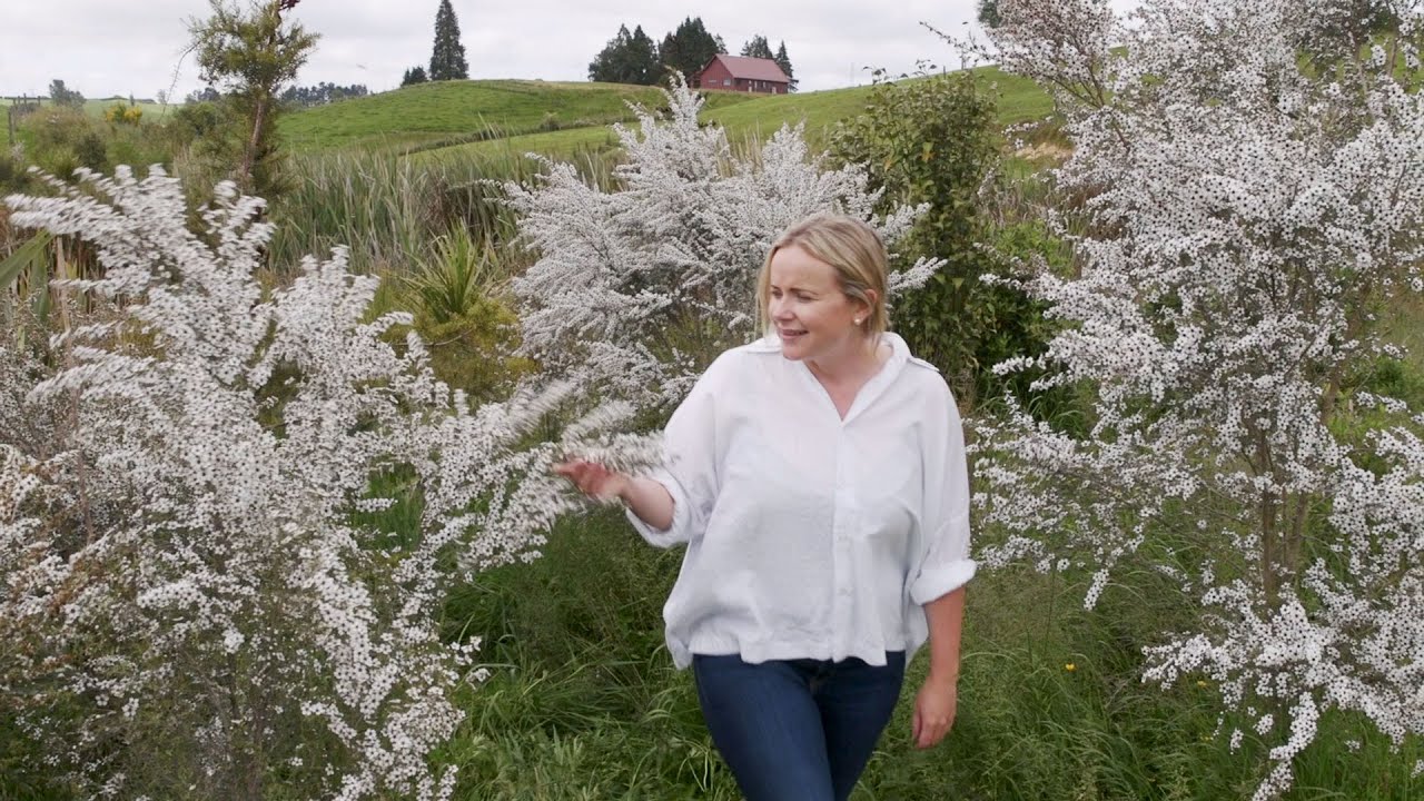 Maungatautari Wetland Restoration