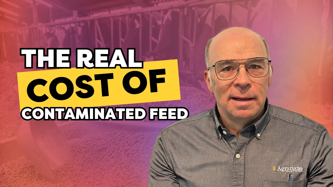 Hidden Mycotoxin Risks in Dairy Feed - Dr. Larry Roth