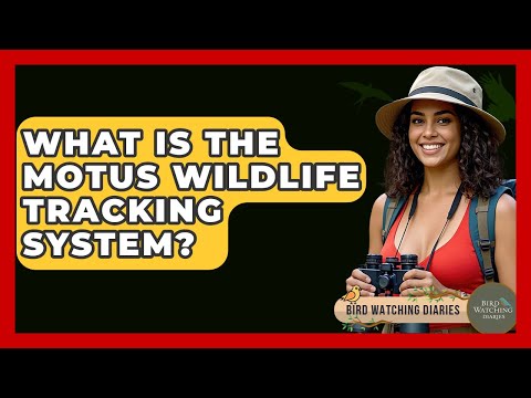 What Is The Motus Wildlife Tracking System? - Bird Watching Diaries