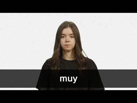 English Translation of “MUY” | Collins Spanish-English Dictionary