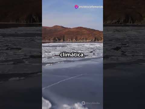 #ProtocoloDeKioto 🌍 ¿Realmente funcionó contra el cambio climático?