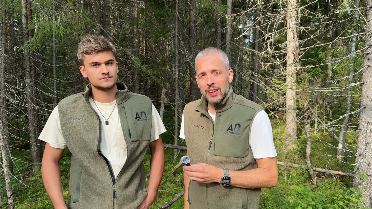 Android Tree Height - new version