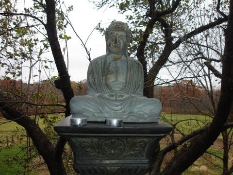MEDIUMSHIP MASTERY: The Eight BEST Books on Mediumship Development. My Recommendations.