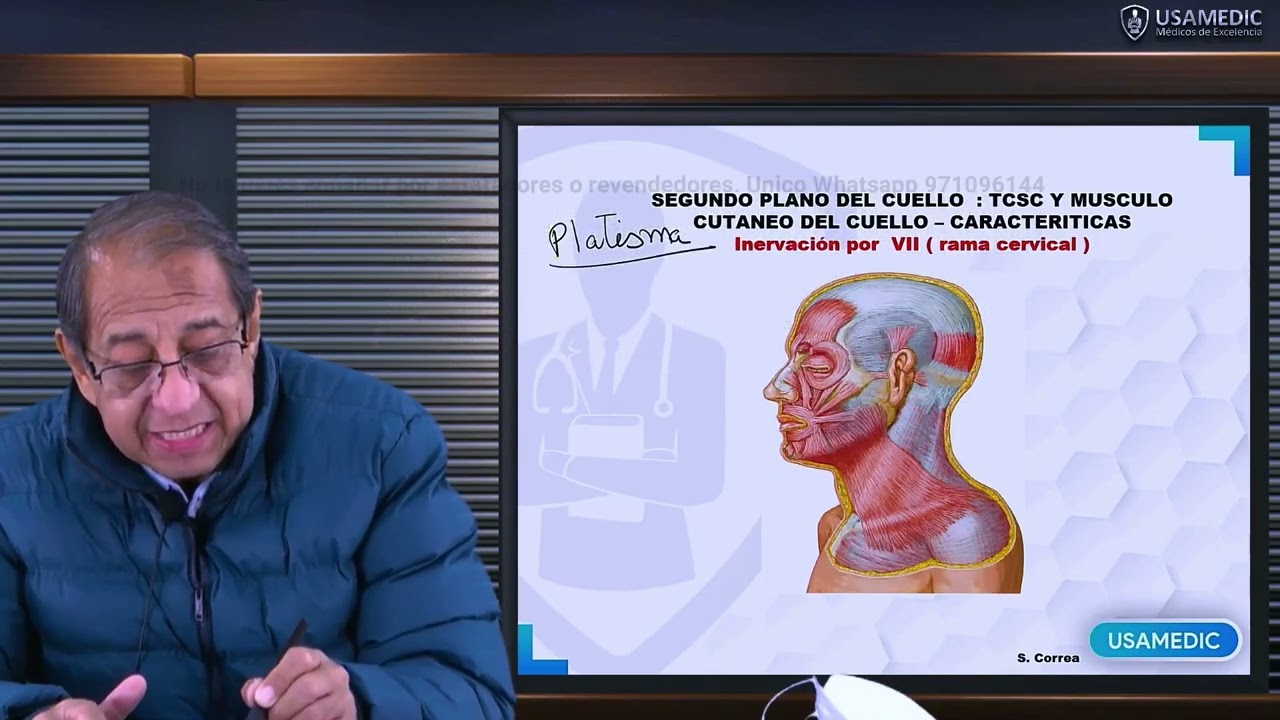 USA MEDIC Anatomía 3