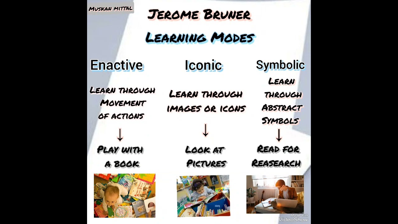 Bruner theory of cognitive development | For Ctet,Htet Prepration|