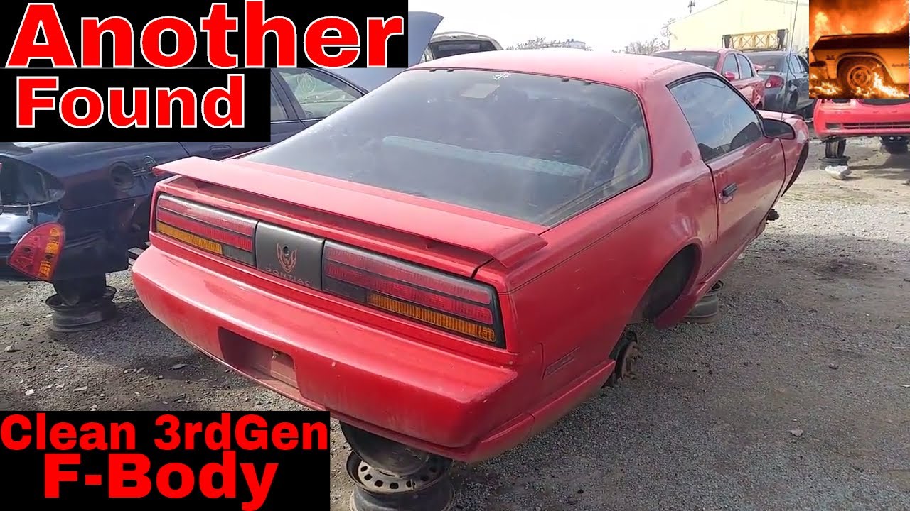 1991 Pontiac Firebird Junk yard Find
