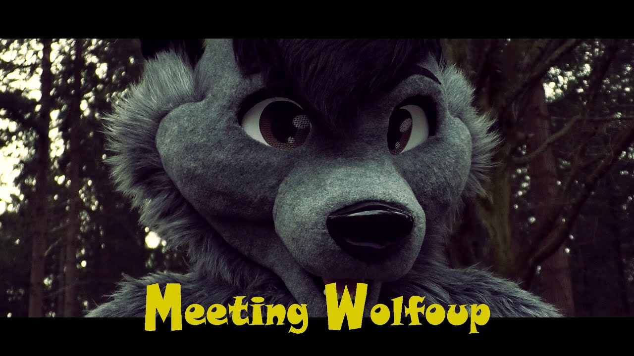 MEETING WOLFOUP