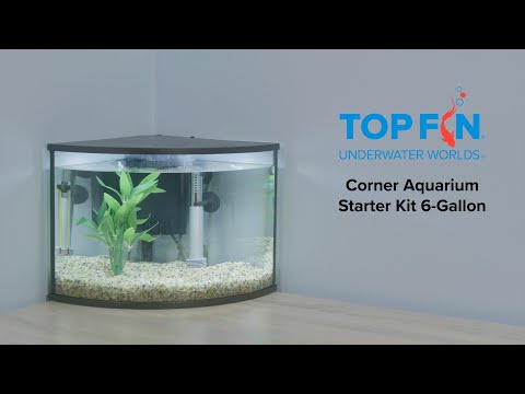 in Corner Fishtank #Aquarium 6-Gal Starter Kit Setup | YouTube