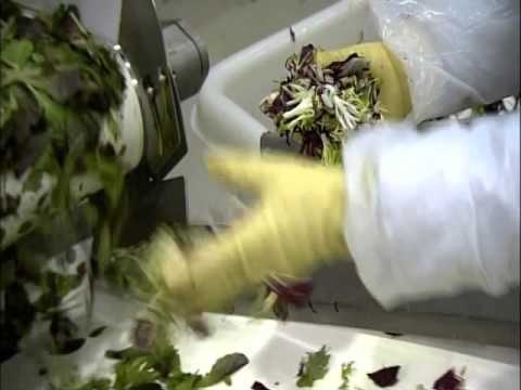 How Its Made Mixed Salad 4x3