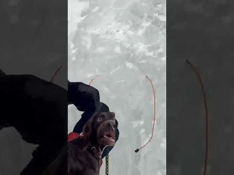 Magnet + chinese finger trap