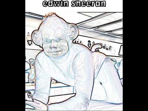edwin sheeran #monkey #memes #funny #edsheeran #galway #stupid #gif #haha #runningoutofhashtags #ok