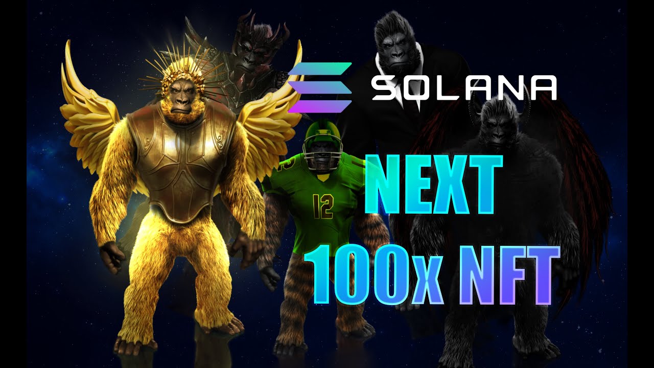 The NEXT 100x NFT PROJECT!