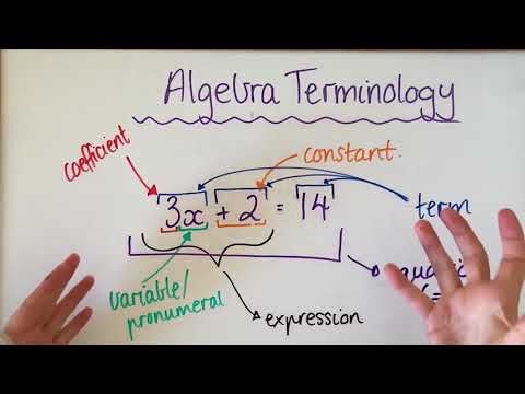 Algebra - Terminology - Words we use in Algebra