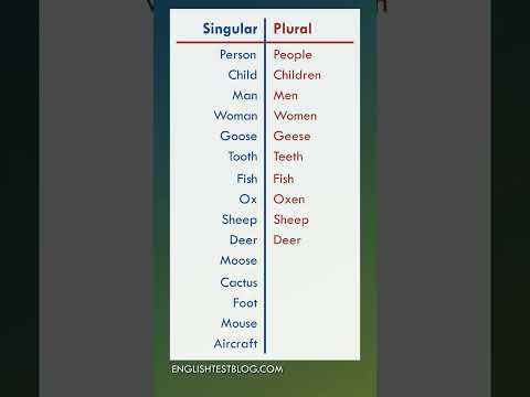 Irregular plural nouns