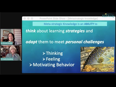 What is Meta-Strategic Learning? Why You Need to Know It.