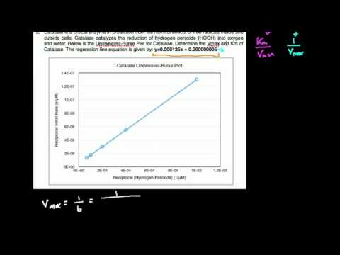 Kinetics Parameters for Catalase Part 1: Vmax and Km