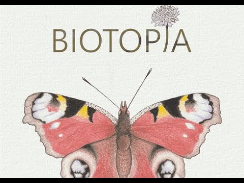 Biotopia How To Play