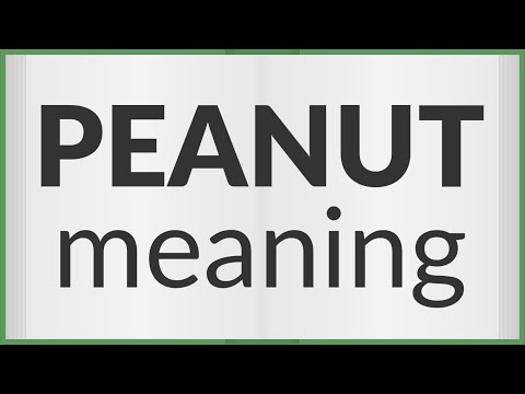 Peanut | meaning of Peanut