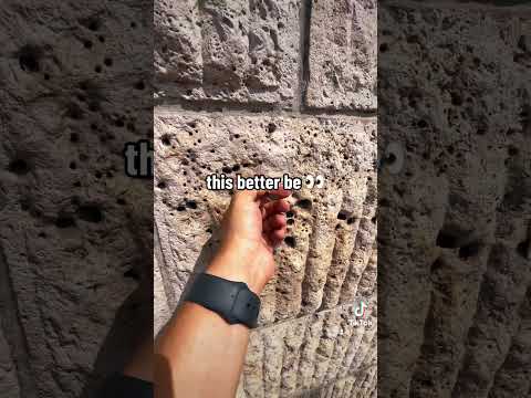 find amazing hidden caches like these near you by downloading the geocaching app! ๐