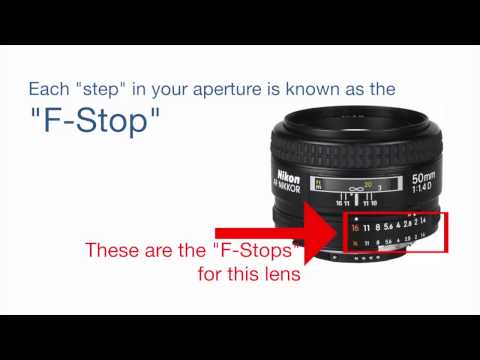 Camera Lenses Explained: DSLR Tutorial for Beginners