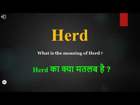 Herd meaning in Hindi | Herd ka kya matlab hota hai | daily use English words