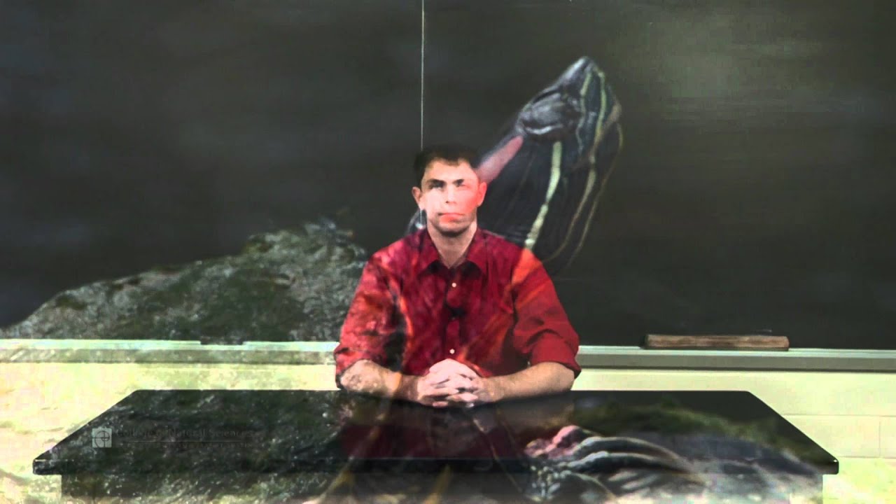 Lab 09.01.Wave Interference