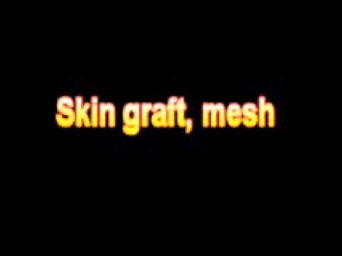 What Is The Definition Of Skin graft, mesh Medical School Terminology Dictionary
