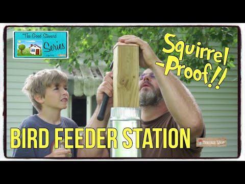 Step by Step Build SQUIRREL-PROOF BIRD FEEDER | 🌻Enjoy Nature | Dad & Sons Project | Good Steward