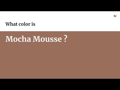 Mocha Mousse color #996e5b hex color - Brown color - Cool color 996e5b