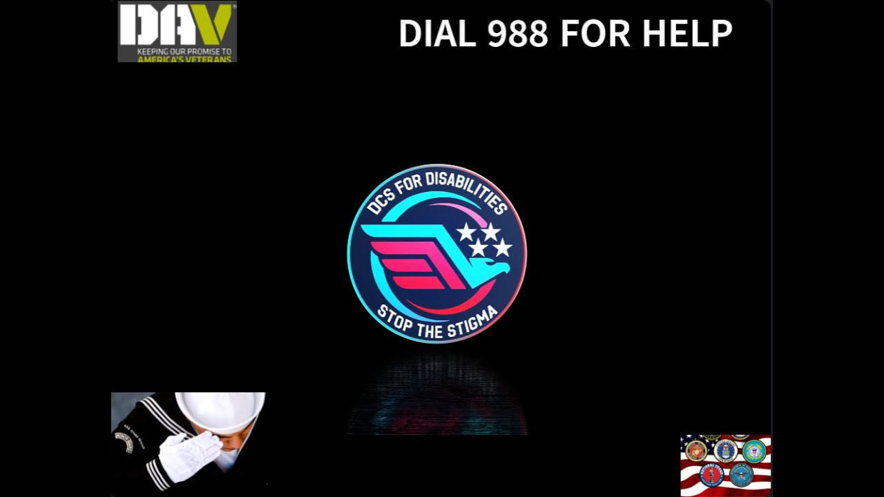 Flying Eagle Dynamics for the Disabled American Veterans Organization