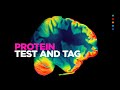 David Komander | About | The Walter and Eliza Hall Institute of Medical ...