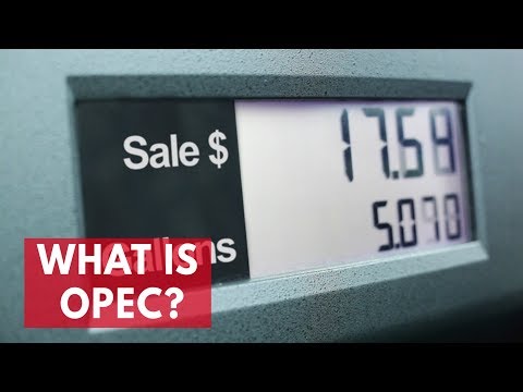 What is OPEC?