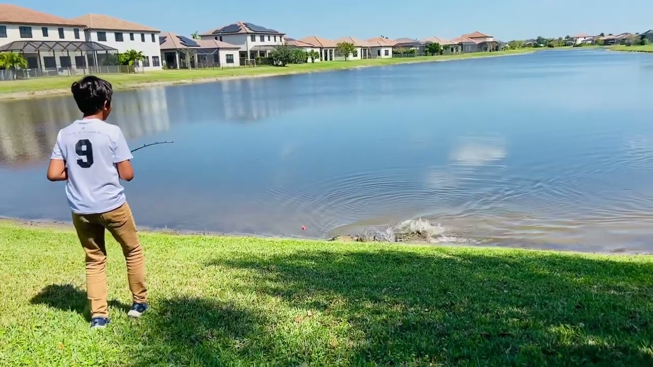 Gator snatched Mason’s fish