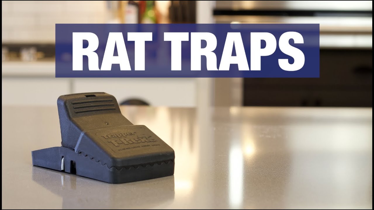 Different Types of Rat Traps