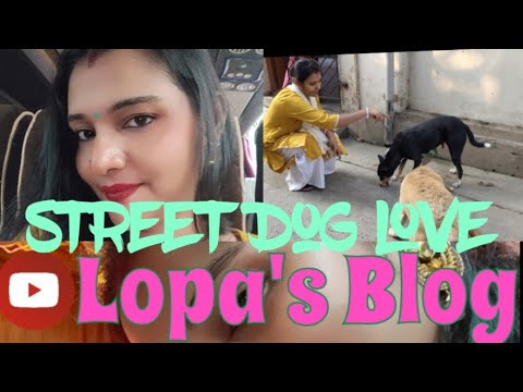 Street Dog Love #dailyvlog #dailyblog #youtube #blog #bloggerlifestyle #blogging #viralvideo #dog