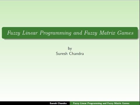 Fuzzy Optimization