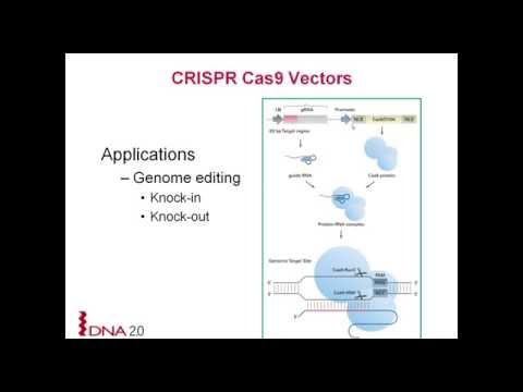 CRISPR/Cas9 Genome Engineering