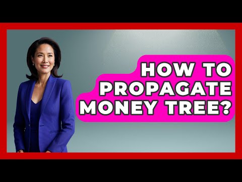 How To Propagate Money Tree? - The Plant Enthusiast