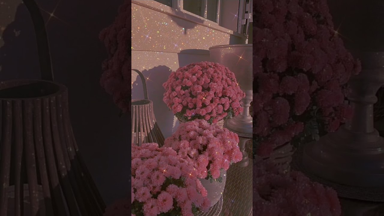 pink aesthetic wallpapers #selenophile26#aesthetics #wallpapers #whatsappstatus #new