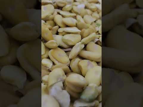 what we all wanted to know about fava beans