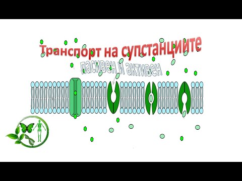 Транспорт на супстанициите - Активен и пасивен