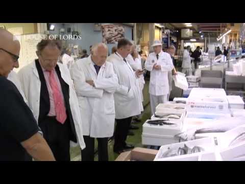 Billingsgate Fish Market visit | EU Energy and Environment Sub-Committee | House of Lords