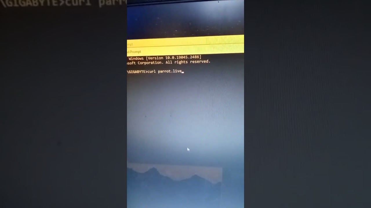 Party Parrot CMD Windows tutorial