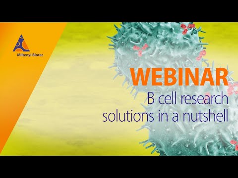B cell research solutions in a nutshell [WEBINAR]