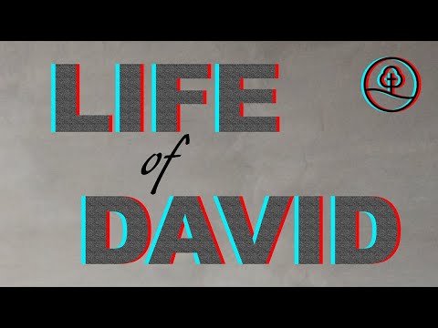 David The Musician
